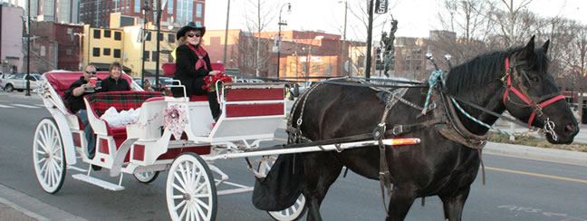 Sugar Creek Carriages: Carriage Rides Pigeon Forge and Nashville