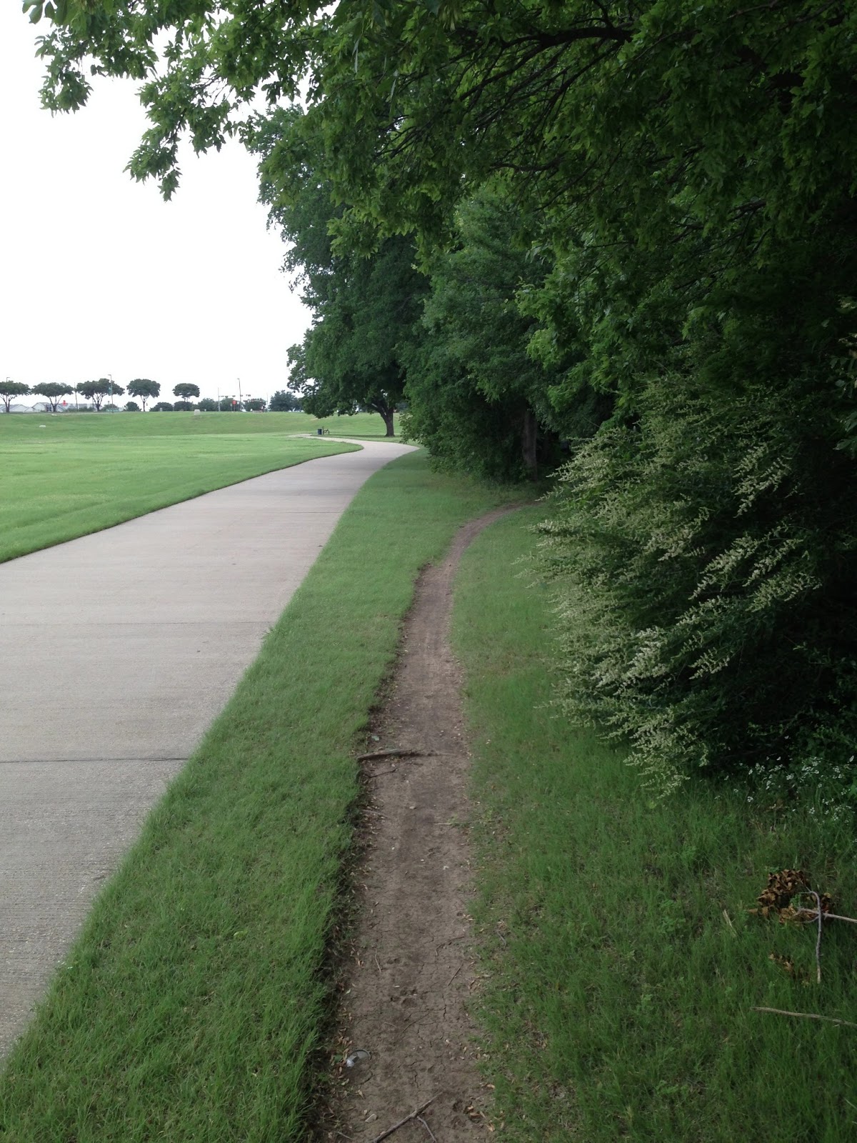 The Roaming Itinerant: Campion Trail North (Irving, TX)