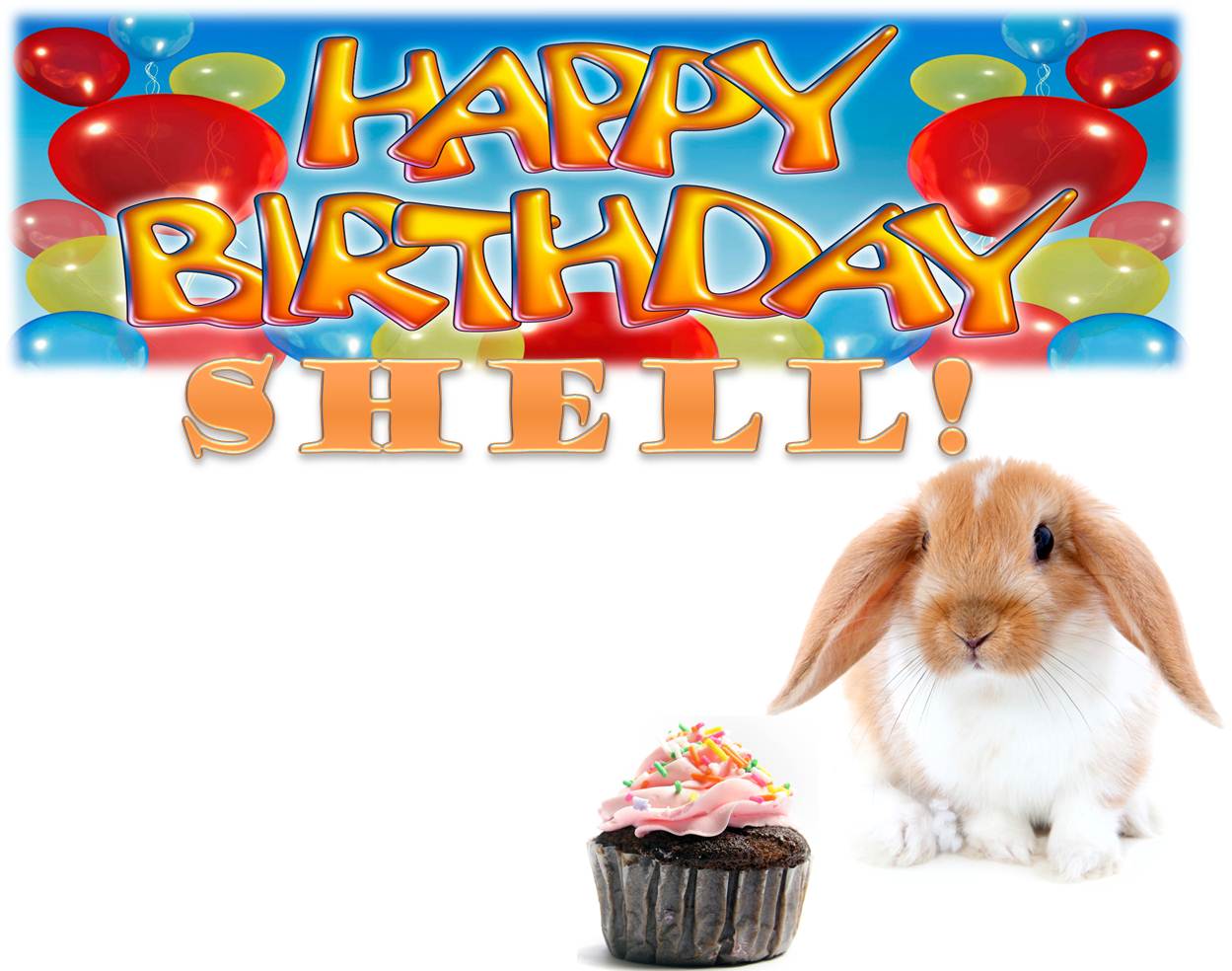 Happy Birthday, Shell!