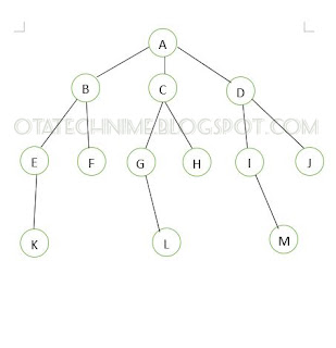 Pengertian Algoritma BFS (Breadh-First Search) dan DFS (Depth-First Search) - OtaTechNime