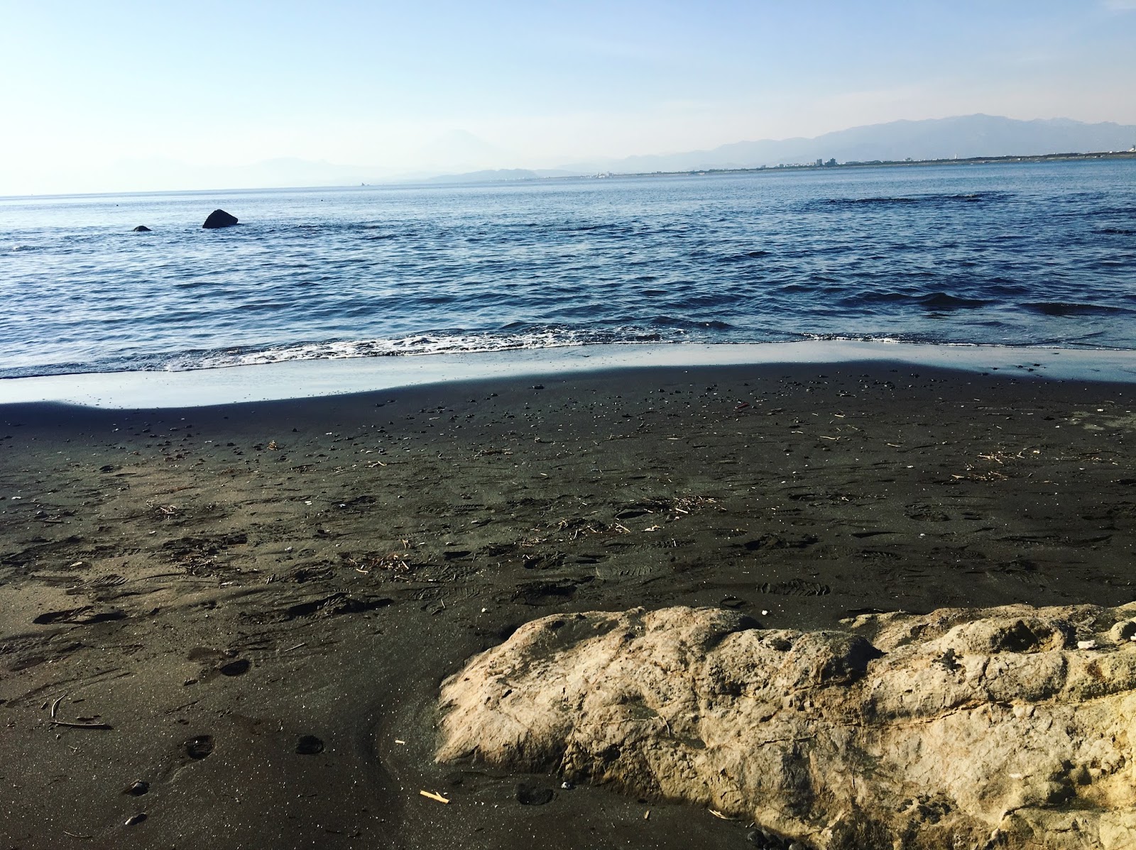 Enoshima Island: Island of the Cats? | ryokô