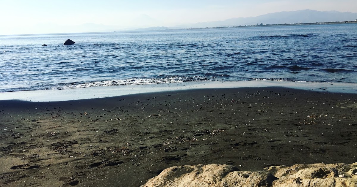 Enoshima Island: Island of the Cats? | ryokô