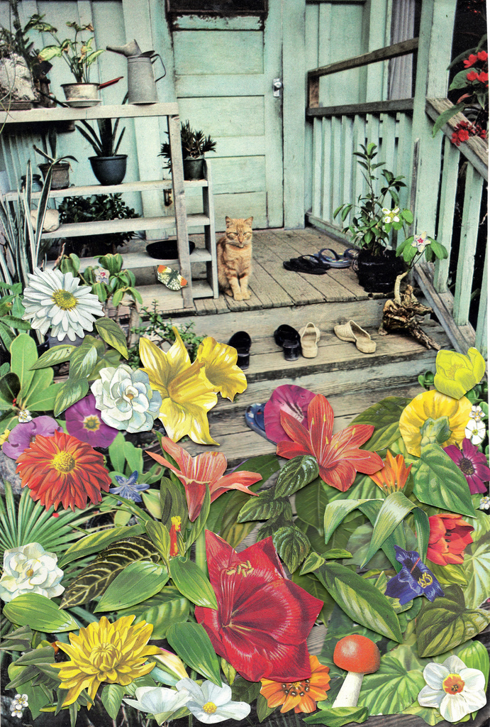 The Small Galleon: ben giles.