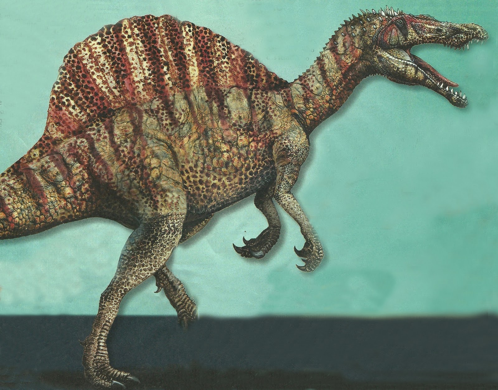 Tempo Dos dinossauros: Oxalaia quilombensis