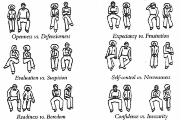 How to Use Good Body Language | Omninews