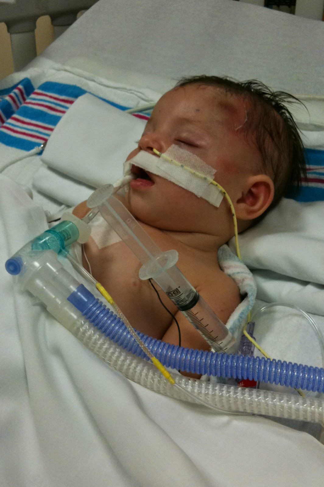 Bischoff Adventures: UVA Graduation AND a big anniversary for Reagan!