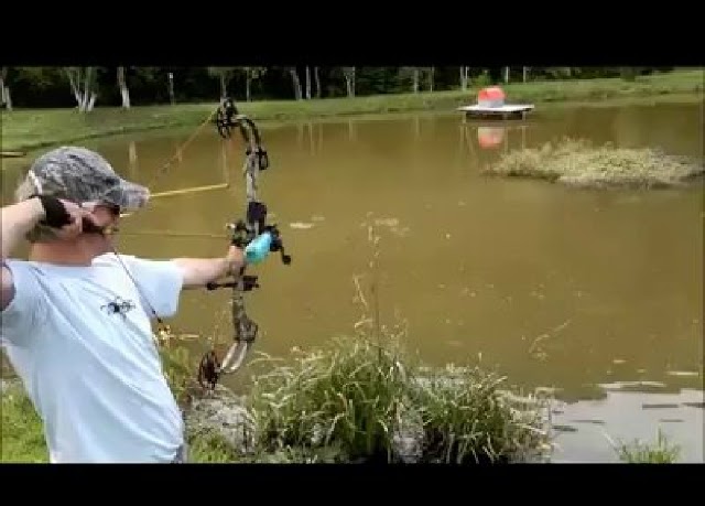 My-Video-Tube: Fish Hunting With Bow And Arrow
