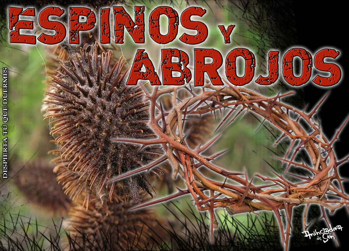 ESPINOS Y ABROJOS | Despierta tú que duermes...