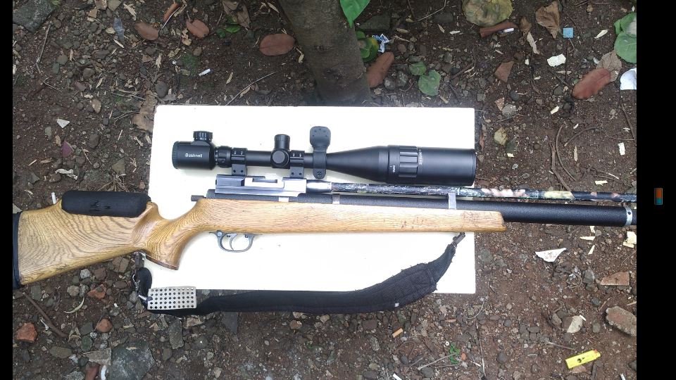 Harga Senapan Angin Pcp | semua tentang senapan