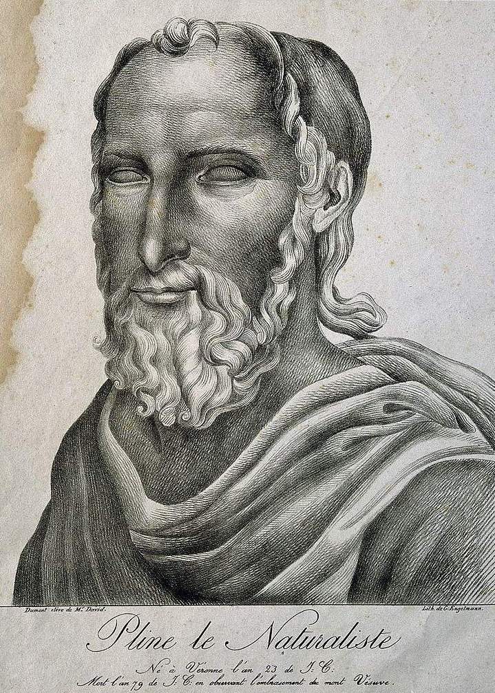 ITACA: Vida de Plinio