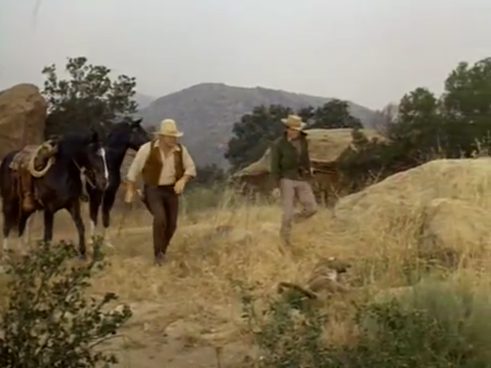 Iverson Movie Ranch: The day "Bonanza" brought a lion to the Iverson ...