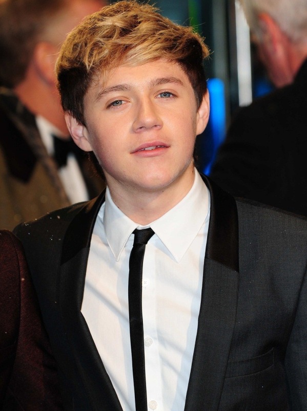 One Dream,One Band,One Direction: Niall James Horan 1st member of 1D