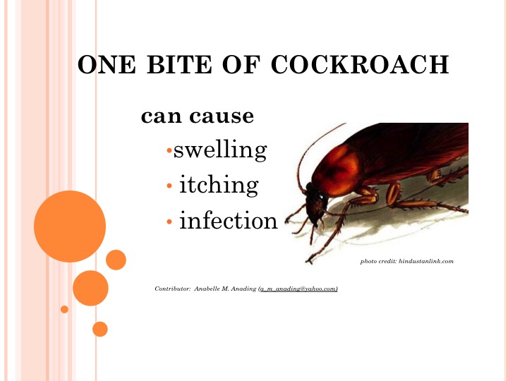 Merlina's Sampayan: Interesting to Know: One Bite (29 - 32)