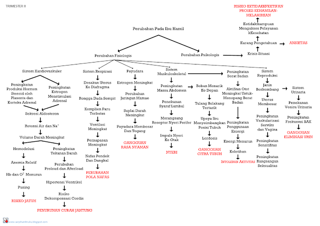 Pathway Kehamilan Trimester II