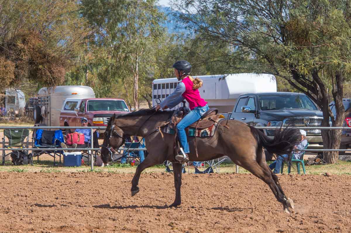 Kissack Adventures: Gymkhana - Riding Horses Through Obstacles