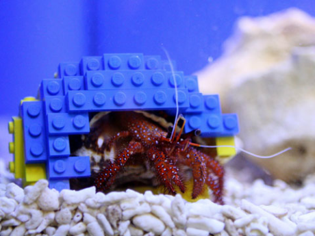 NeuroDojo: April 2012