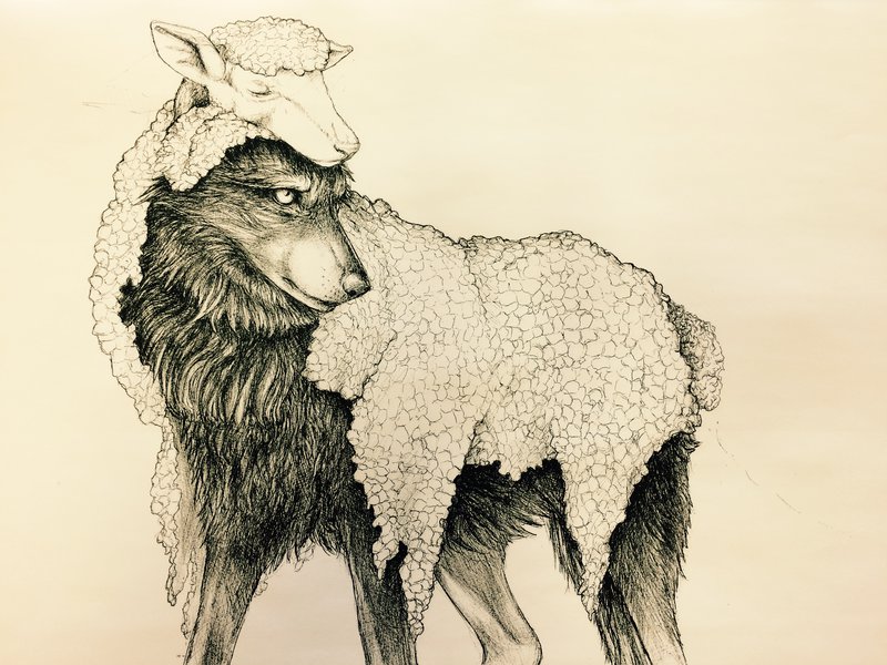 Story of a wolf in the sheep's skin ~ Moral Stories for Kids