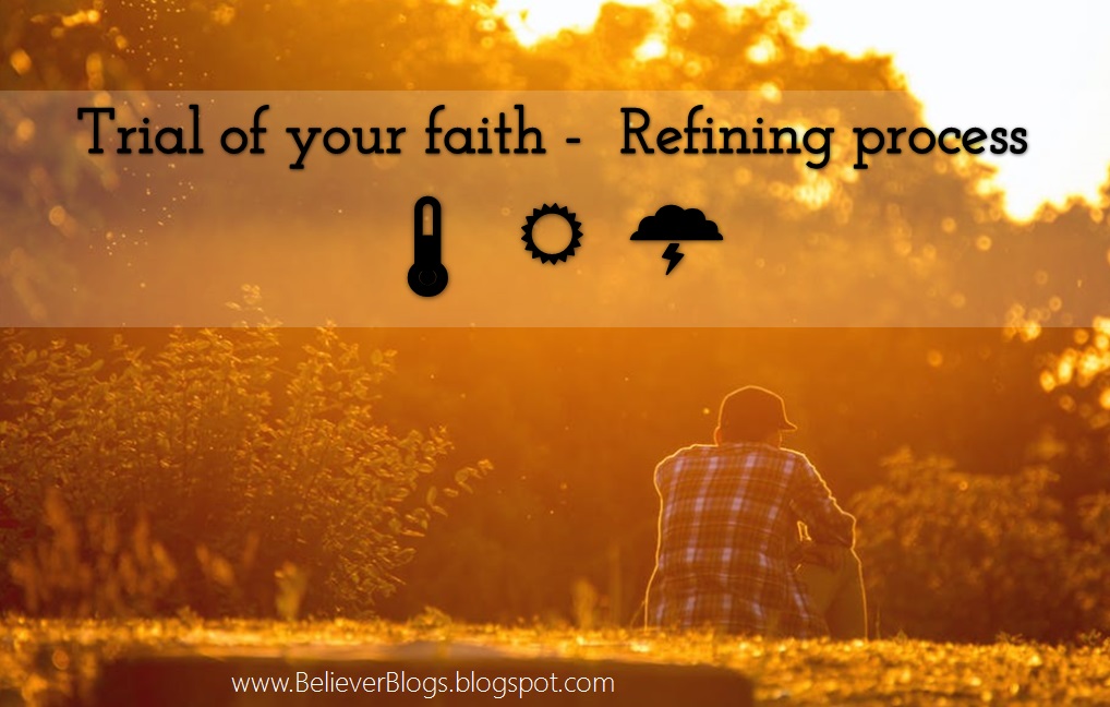 Praise the Lord Jesus Christ