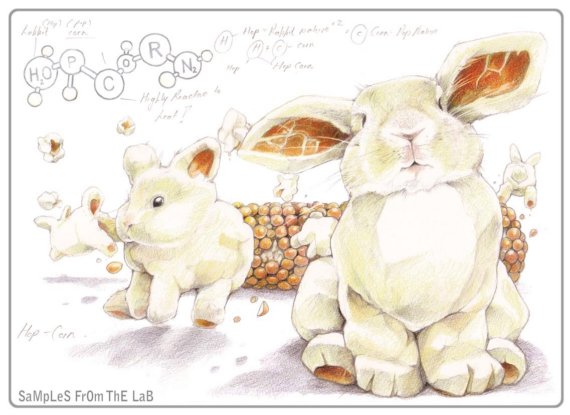 Pinzellades al món: Fruitanimals: il·lustracions de Rob Foote ...