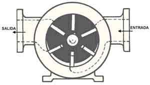 INFORMES Y DIARIOS : octubre 2014