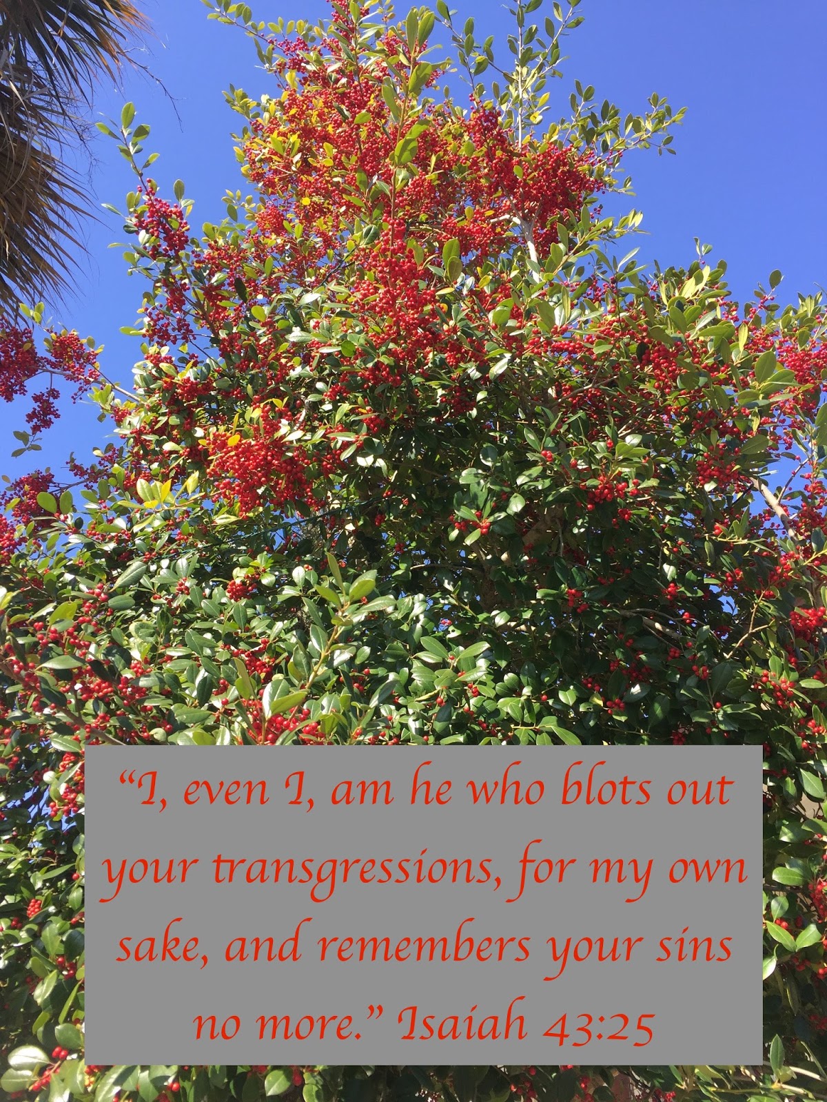 My Strength: Isaiah 43:25 - "At The Cross (Love Ran Red)"