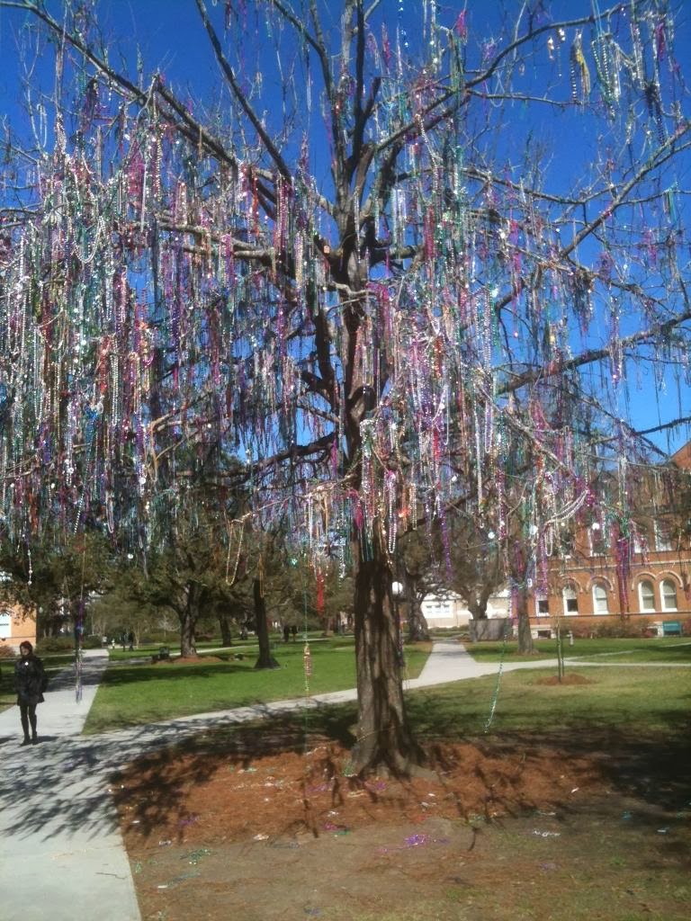 VJBrendan.com: Beads on a Tree at Tulane University