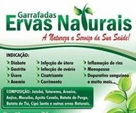 Garrafada ervas naturais: O Barbatimão