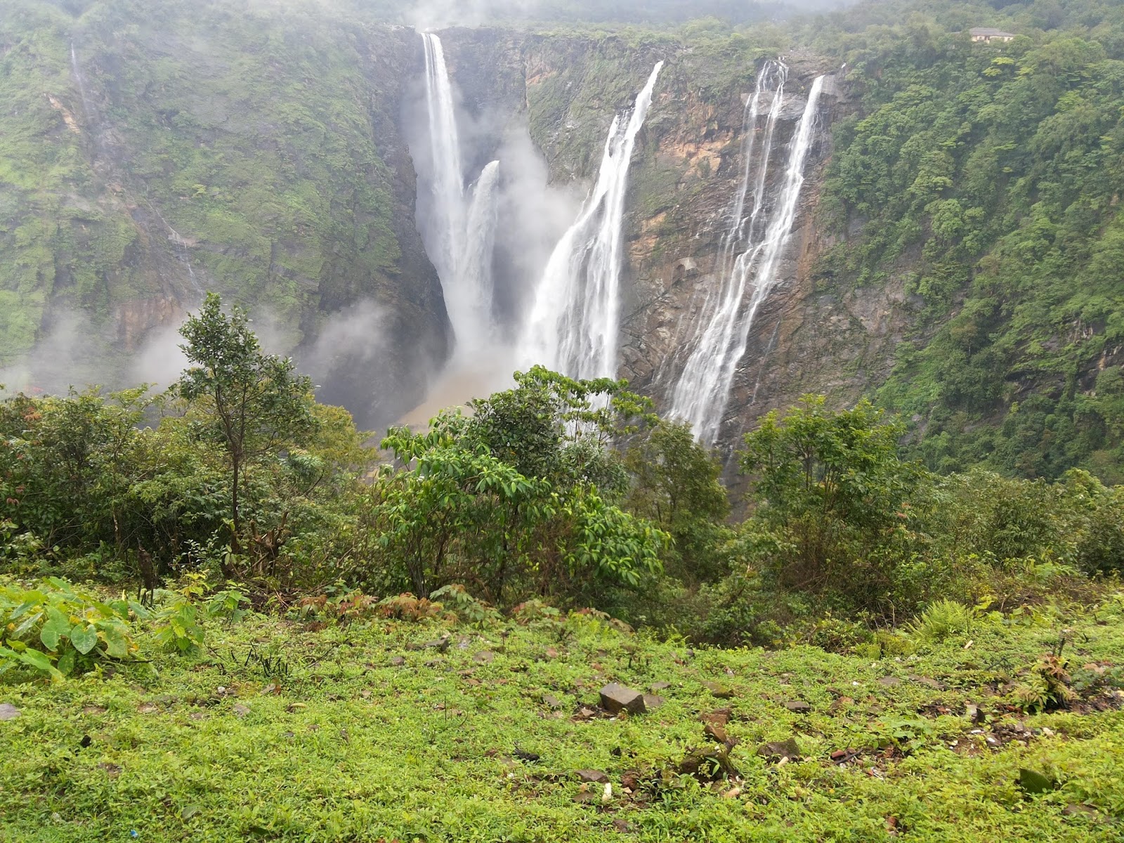 The Sunshine Corner: Jog Falls, Karnataka