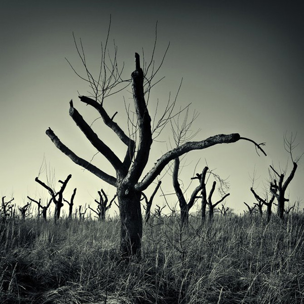 A solidão em preto e branco do fotografo alemão Stephan Opitz