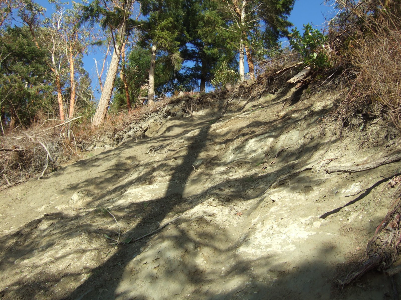 Reading the Washington Landscape: Shallow Soil Slab Failure