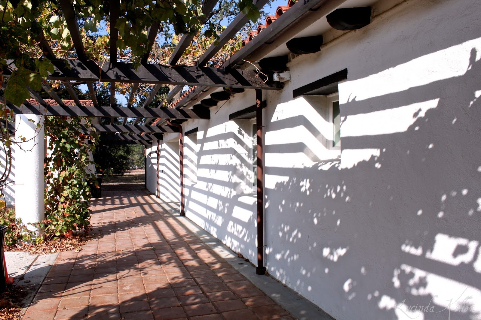 Cobalt Violet: King Gillette Ranch ~ Santa Monica Mountains