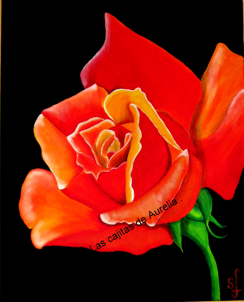 Las Cajitas de Aurelia!: ROSA ROSA