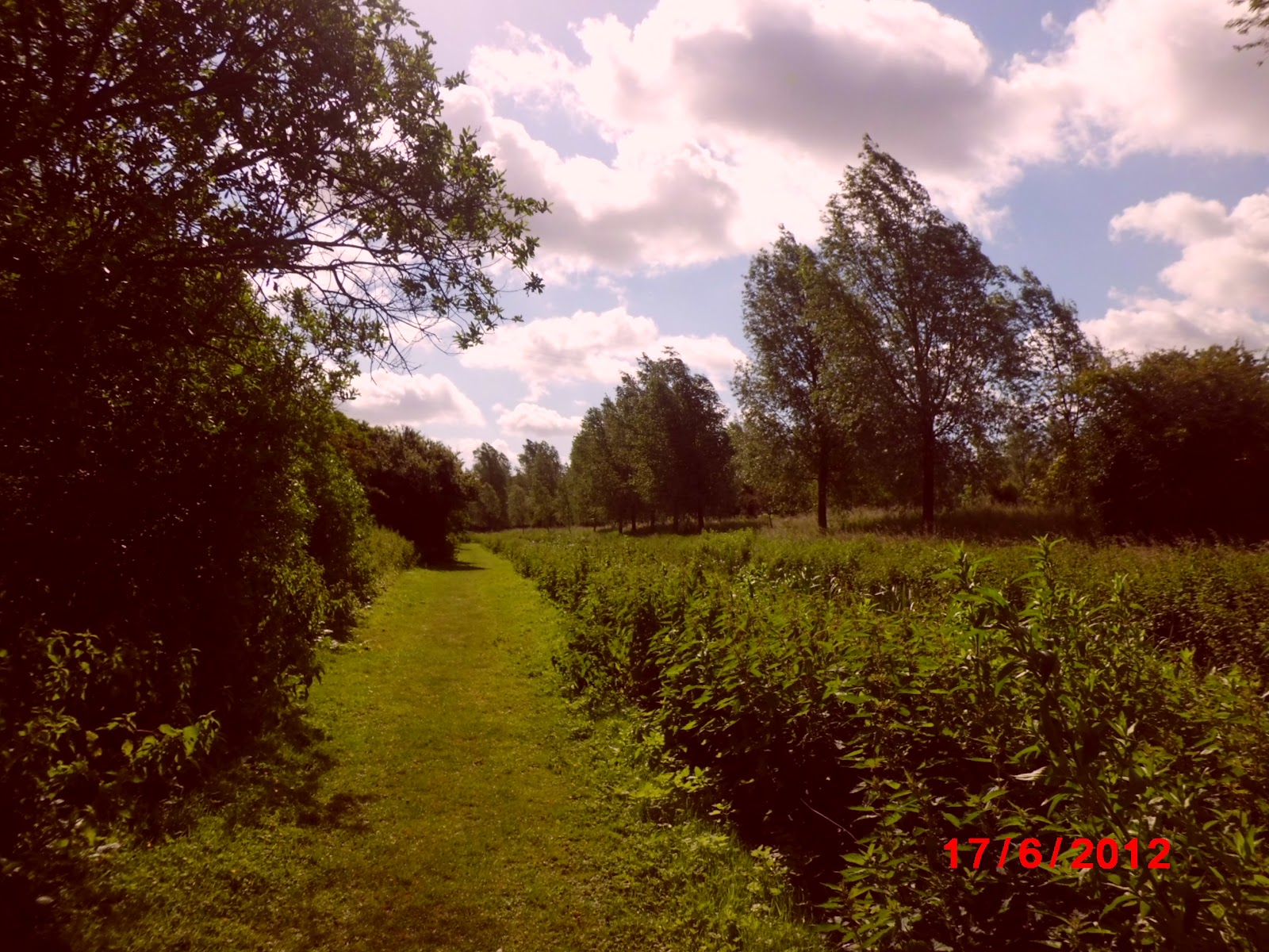 Blackwater Rail Trail