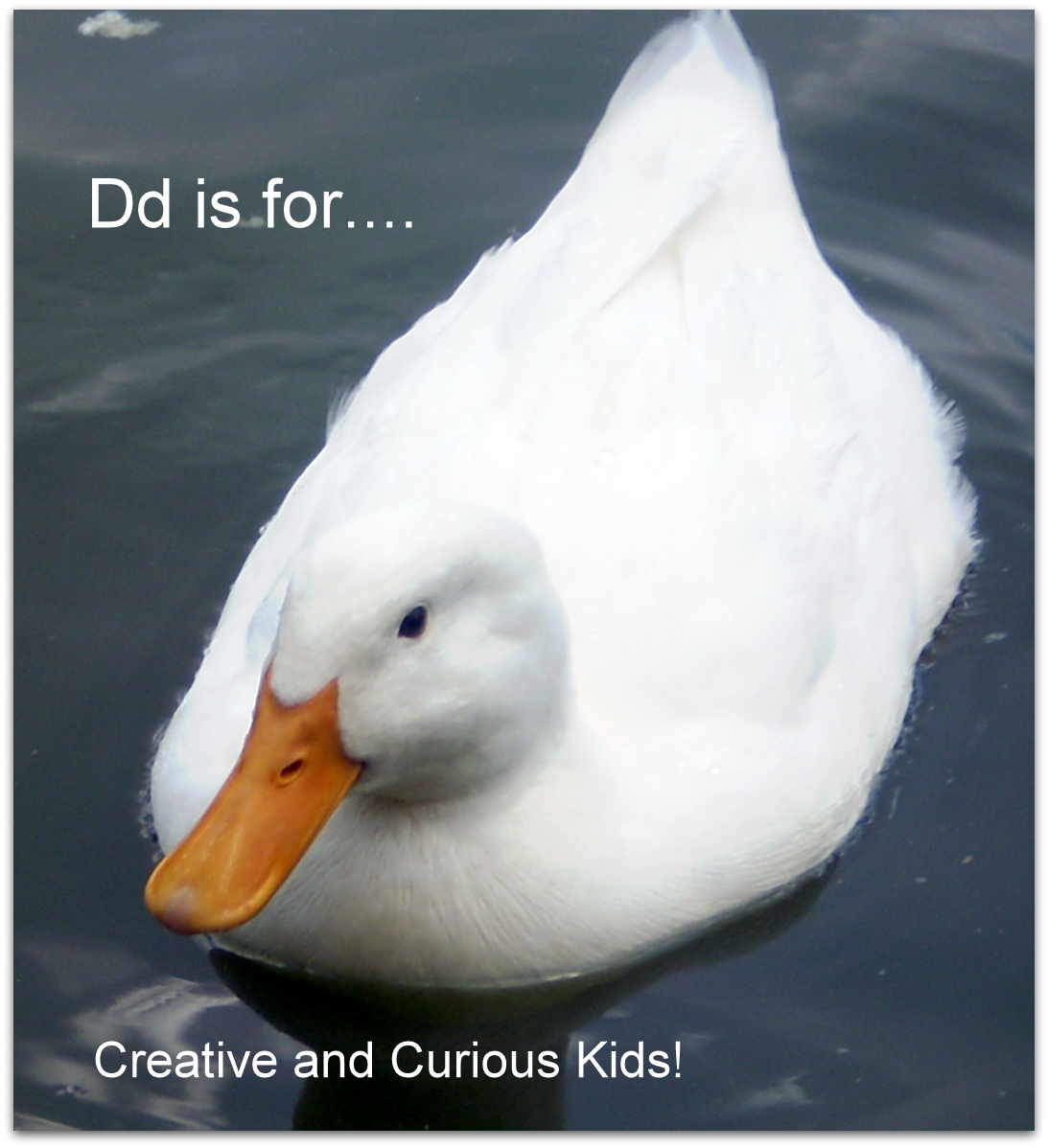 Creative and Curious Kids!: Letter Dd Activities: Day 2