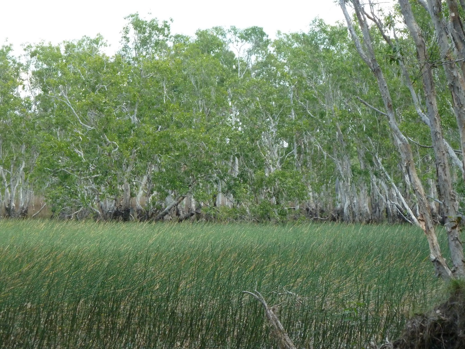 Len and Hazel's Travels: Katherine to Litchfield National Park 21 - 22 ...