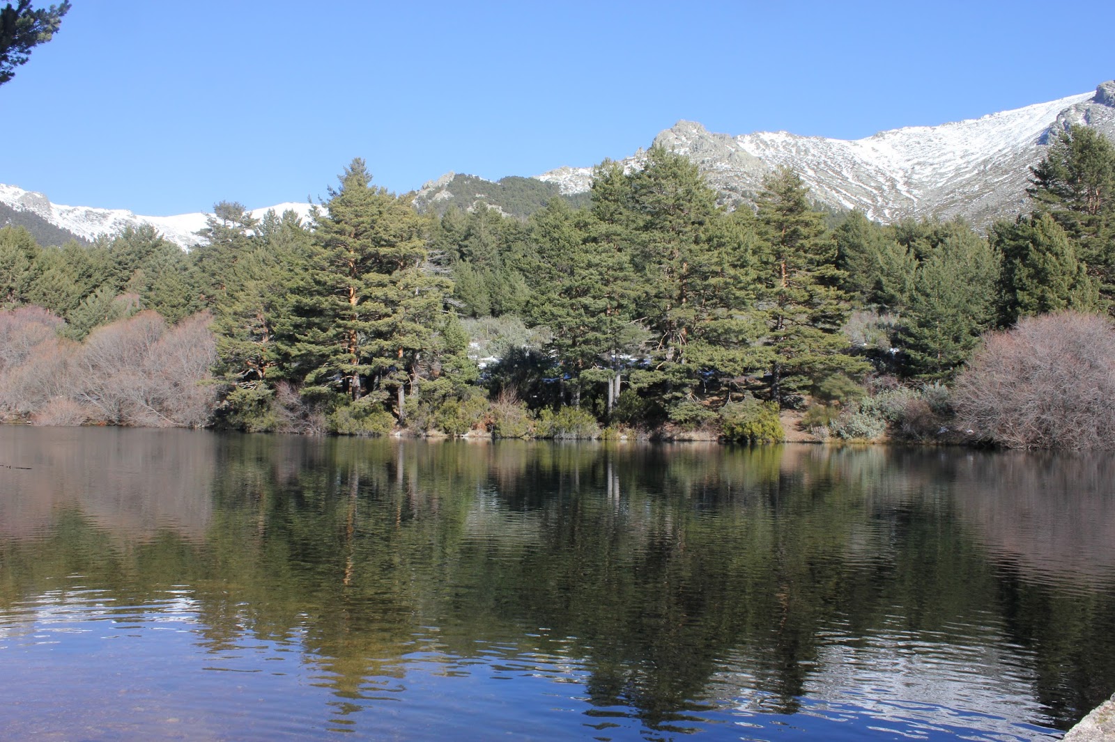 NAVAGARDEN centro de jardinería: VISITA A LA PRESA DE NAVACERRADA