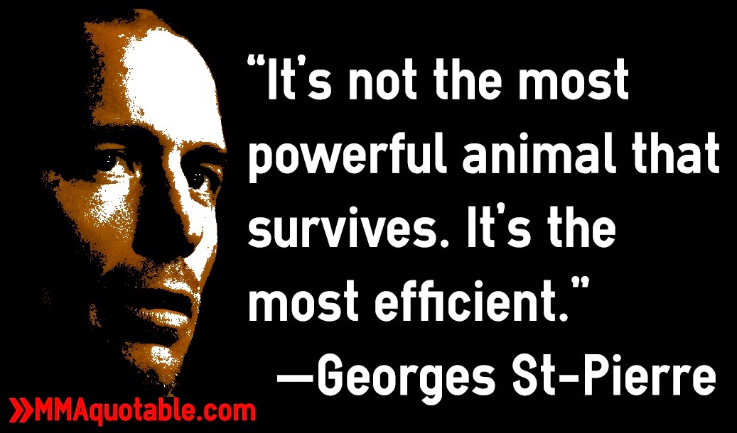 Motivational Quotes with Pictures (many MMA & UFC): GSP: The most ...