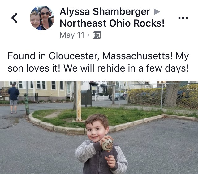 Northeast Ohio Rocks!: Northeast Ohio Rocks! in all 50 States Volume 5