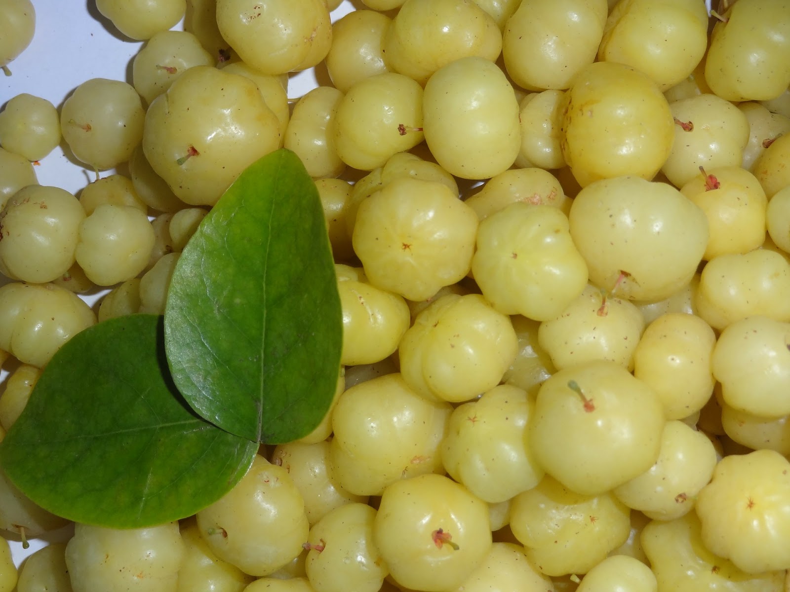 10 Amazing Health Benefits Of Amla - A Little Health