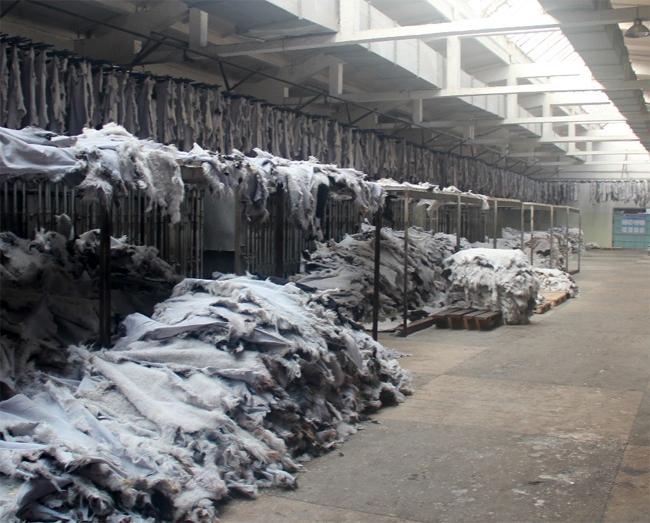 Danny`s Blog АРЬС ШИРНИЙ ҮЙЛДВЭРЛЭЛИЙН САЛБАР