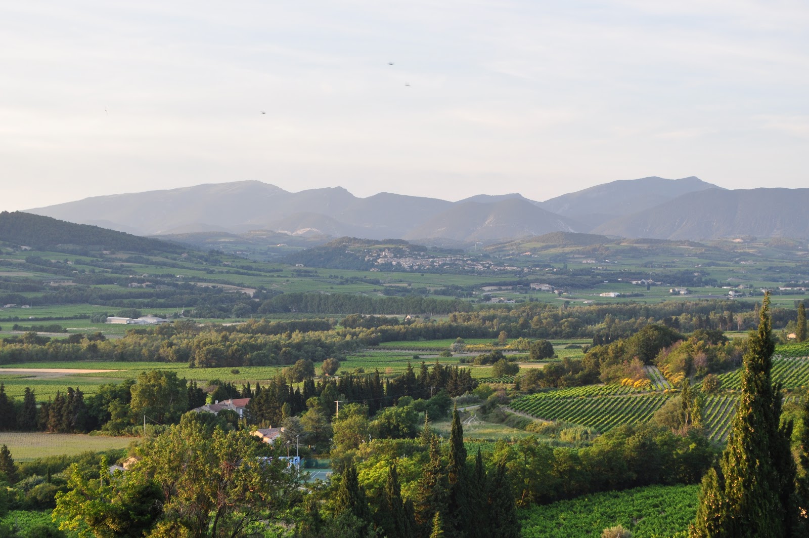 Our House in Provence, the Most Beautiful Region of France: Villedieu ...