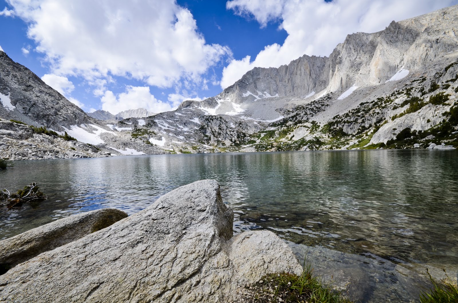 moss images: Eastern Sierra