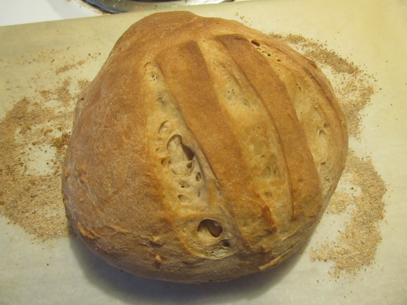 Spirit's Walk: Wheat 5 minute a day bread