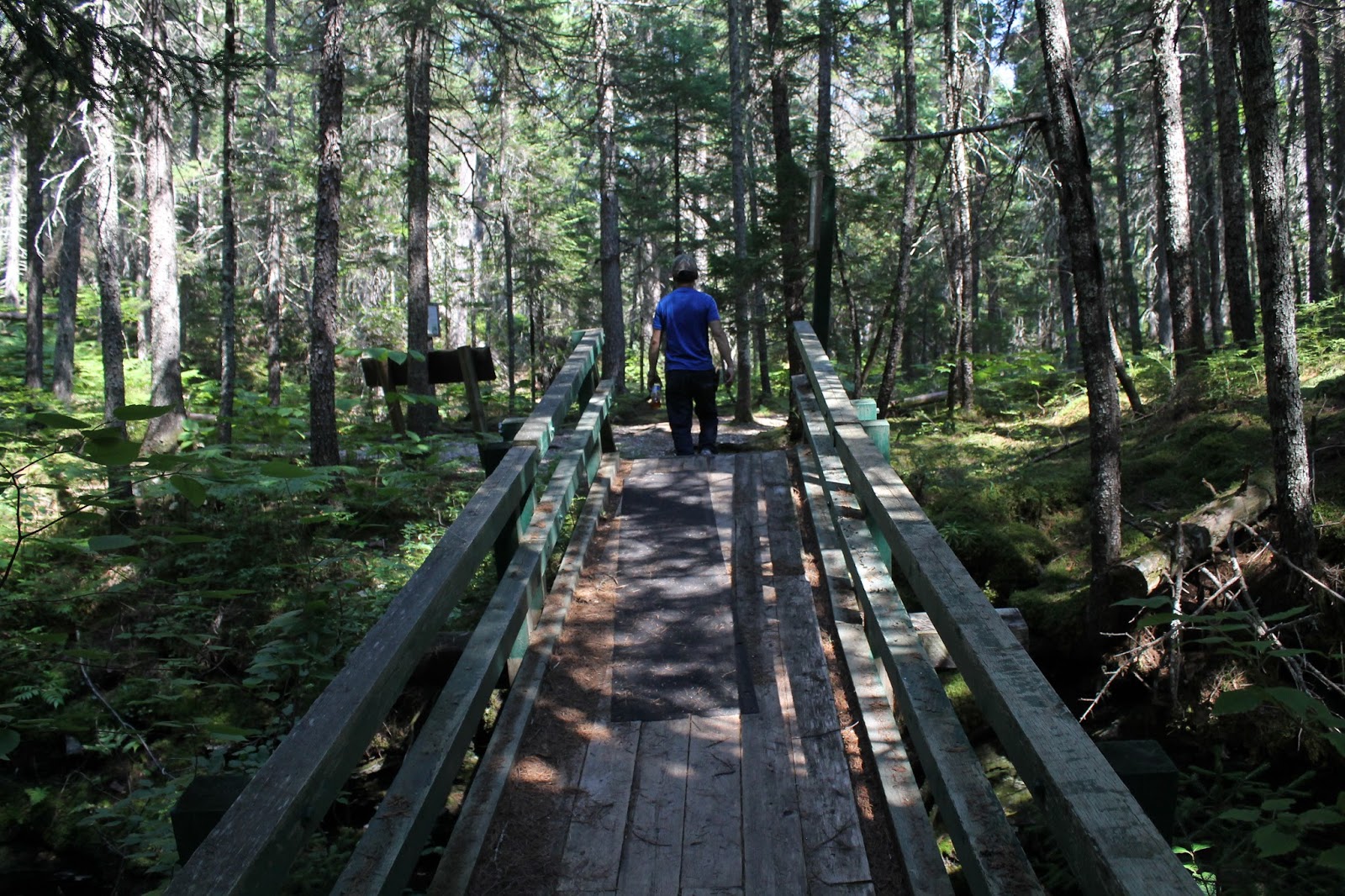 Explore Miramichi With Me: Things to Do: Little Sheephouse Falls