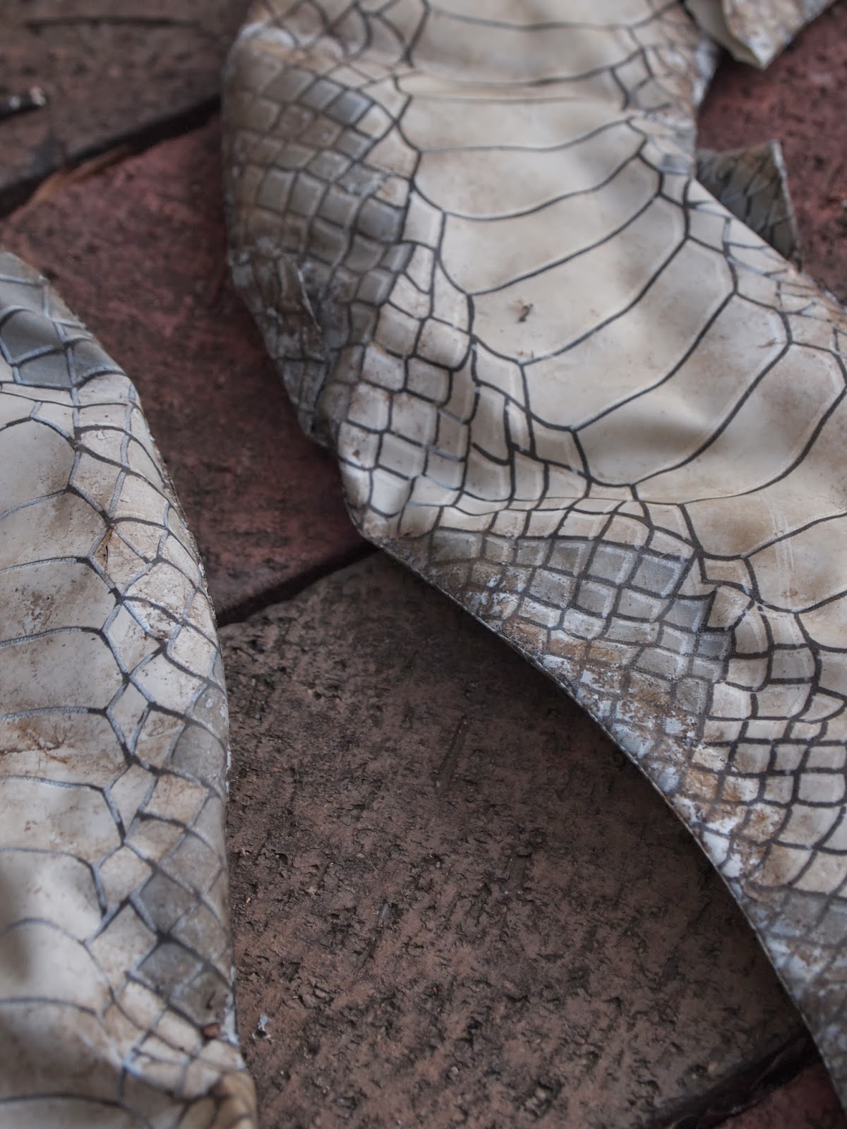 Mary Grace Holmes: A really big snake.