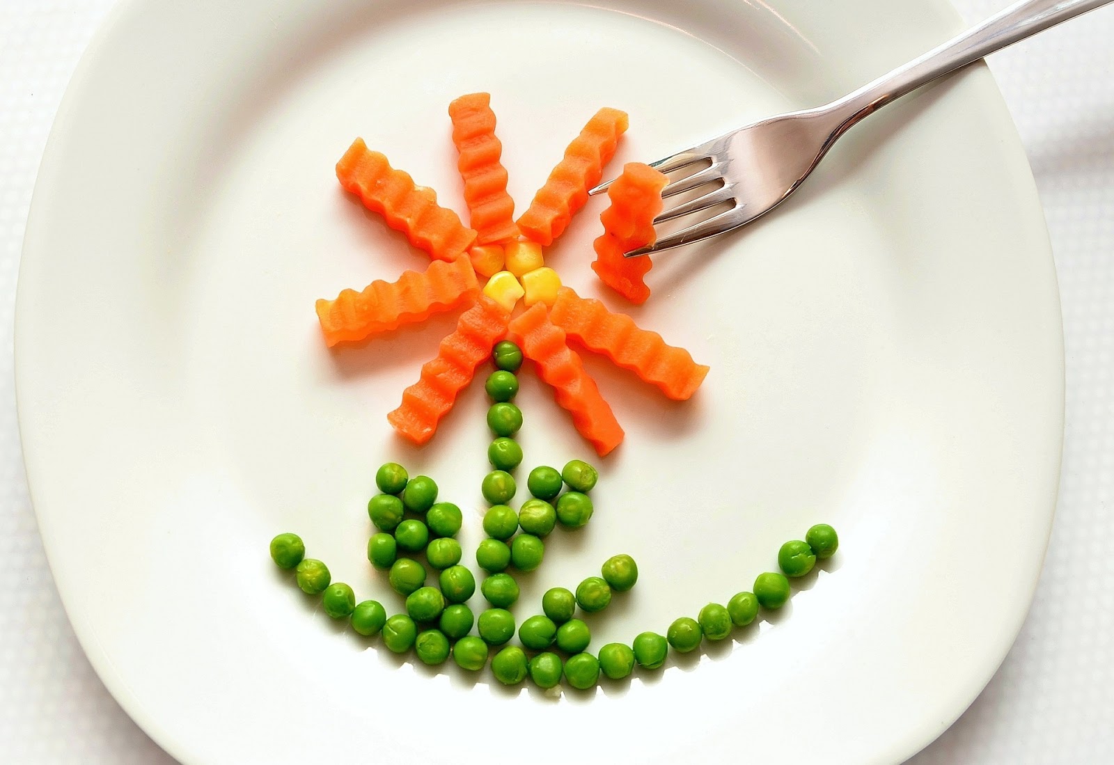 La meiga y su caldero: Tips para Descongelar Alimentos de Forma Segura