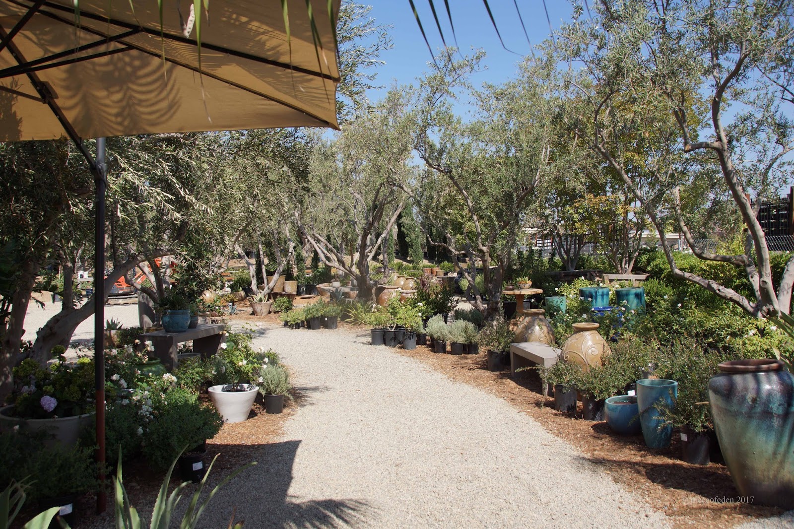 A New Local Garden Center