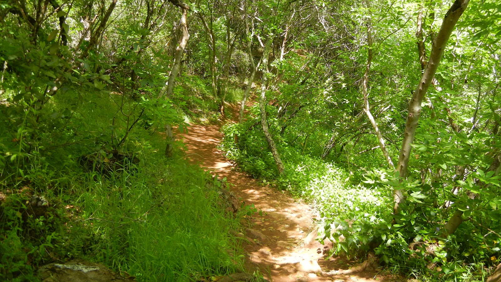 Peachy Hiker: Hidden Falls in Placer County, CA
