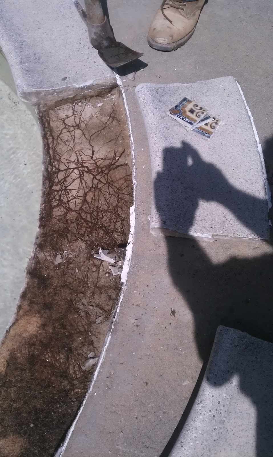 A Pool Builder's View of Building Swimming Pools: Help, my pool tile is ...