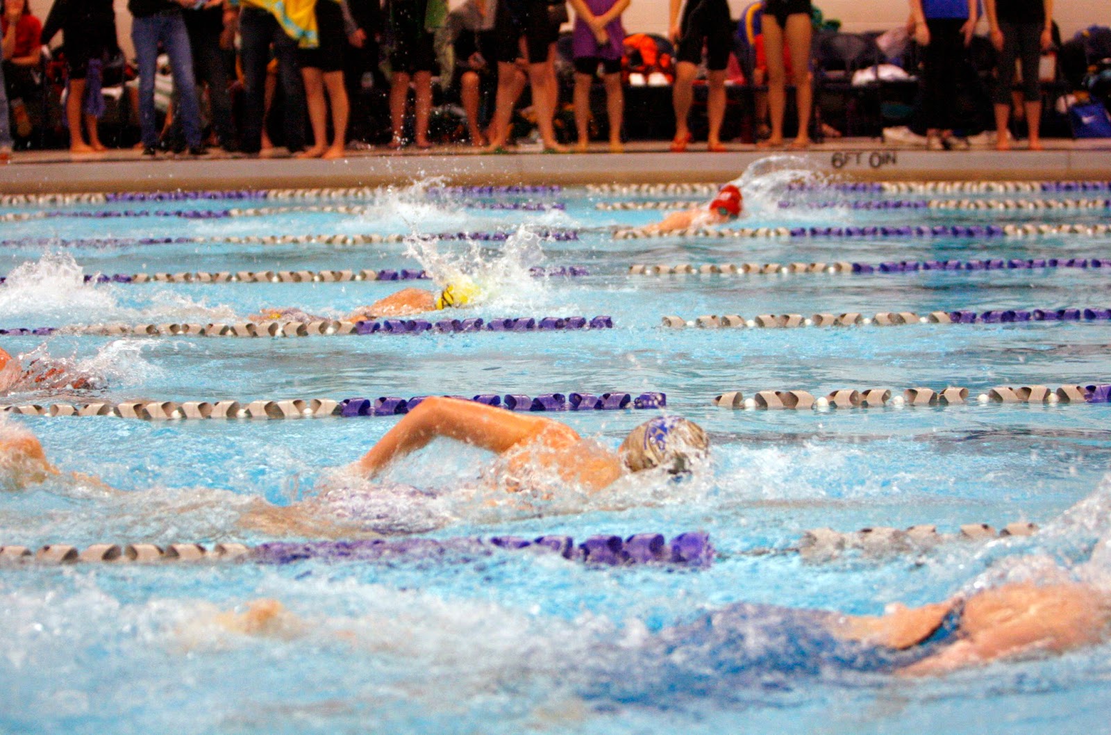 Mark Kodiak Ukena: IHSA Girls Swimming North Shore Conference